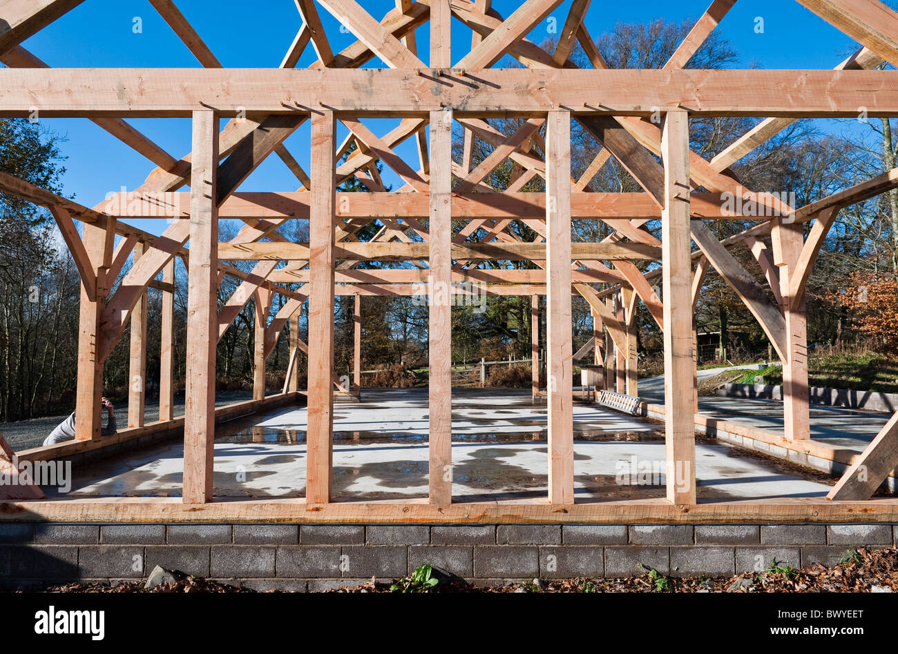 Building a traditional timber framed barn in Radnorshire, UK. The ...