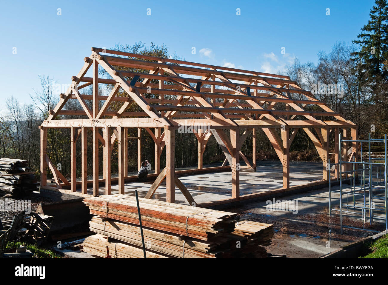 Building a traditional timber framed barn in Radnorshire, UK. The ...