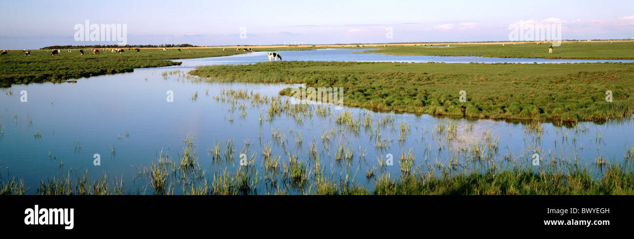 Denmark body hi-res stock photography and images - Alamy