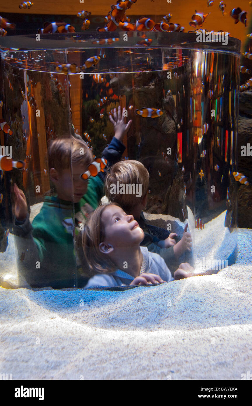 South Africa, Cape Town. Two Oceans Aquarium. Kids inside Clown fish ...
