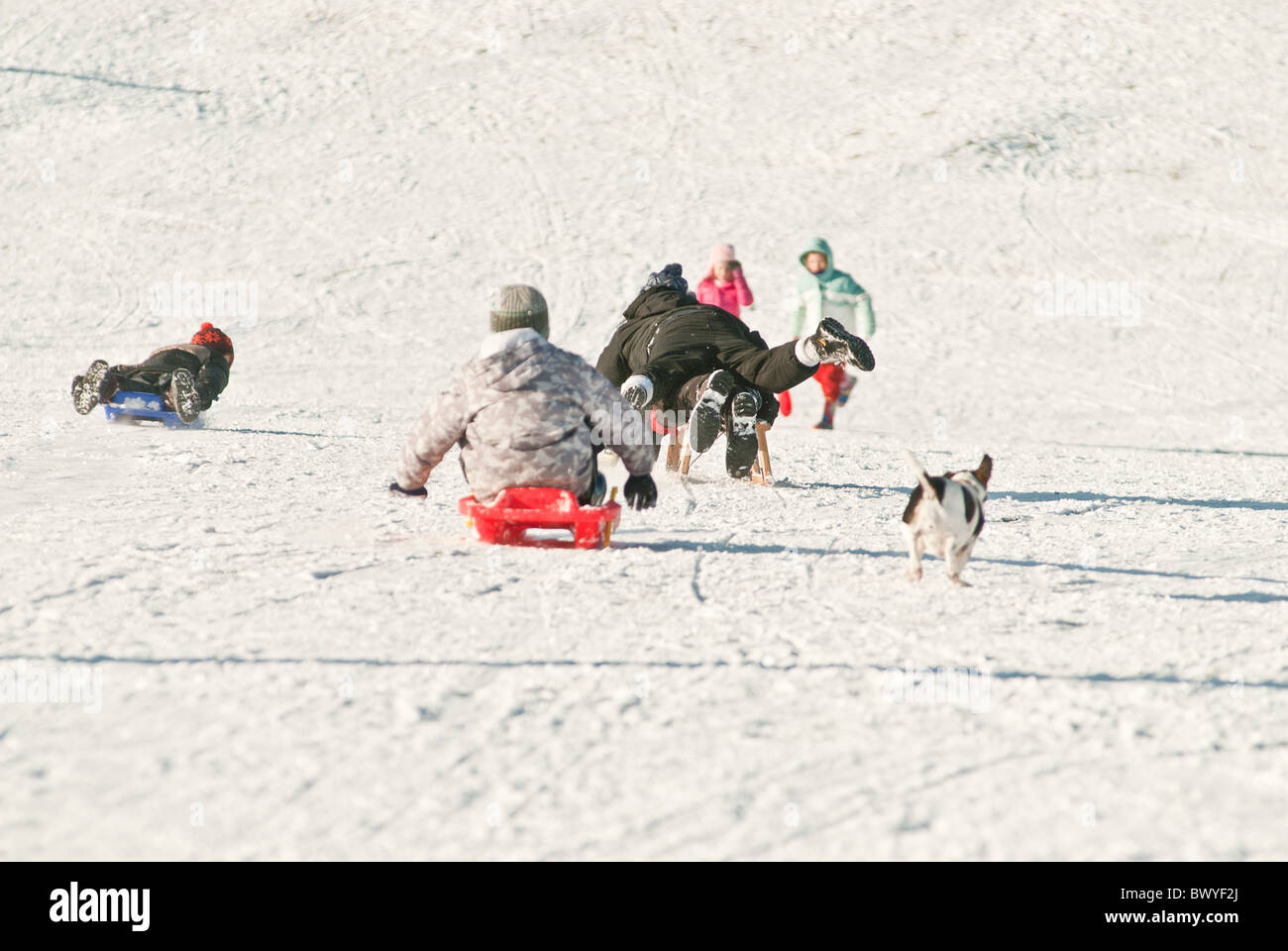 Sledging tobogganing hi-res stock photography and images - Alamy
