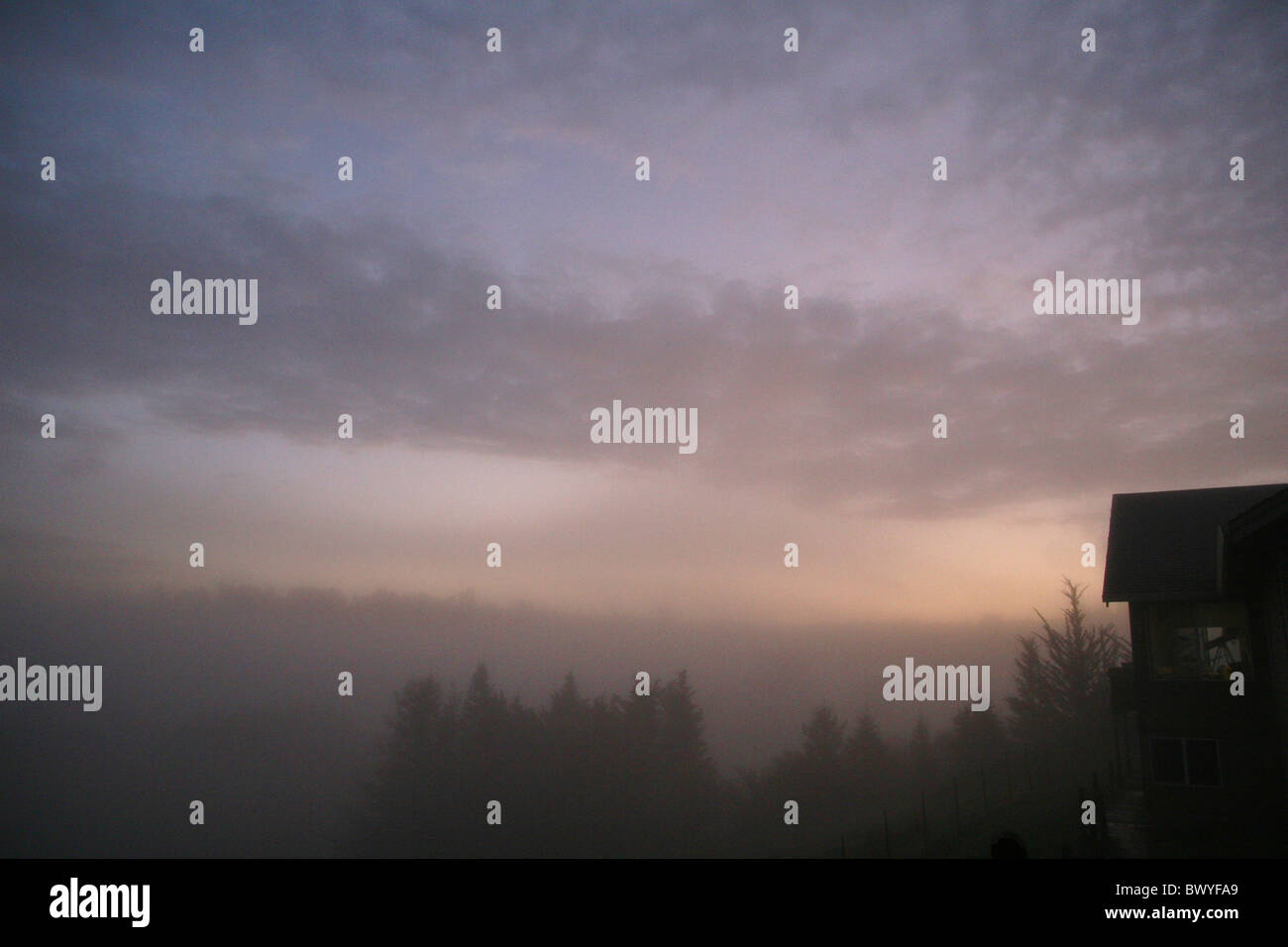 A house in the fog at sunrise in Northern California Stock Photo - Alamy