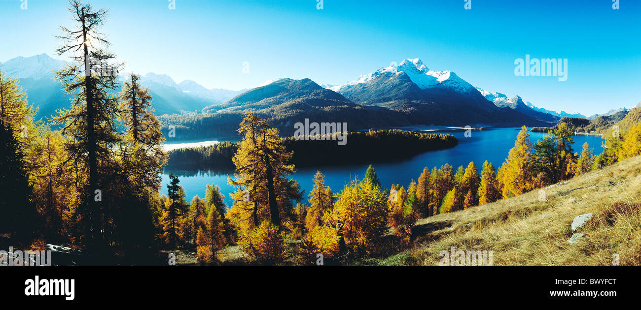 scenery Alps mountains Engadin Oberengadin Switzerland Europe yellow ...