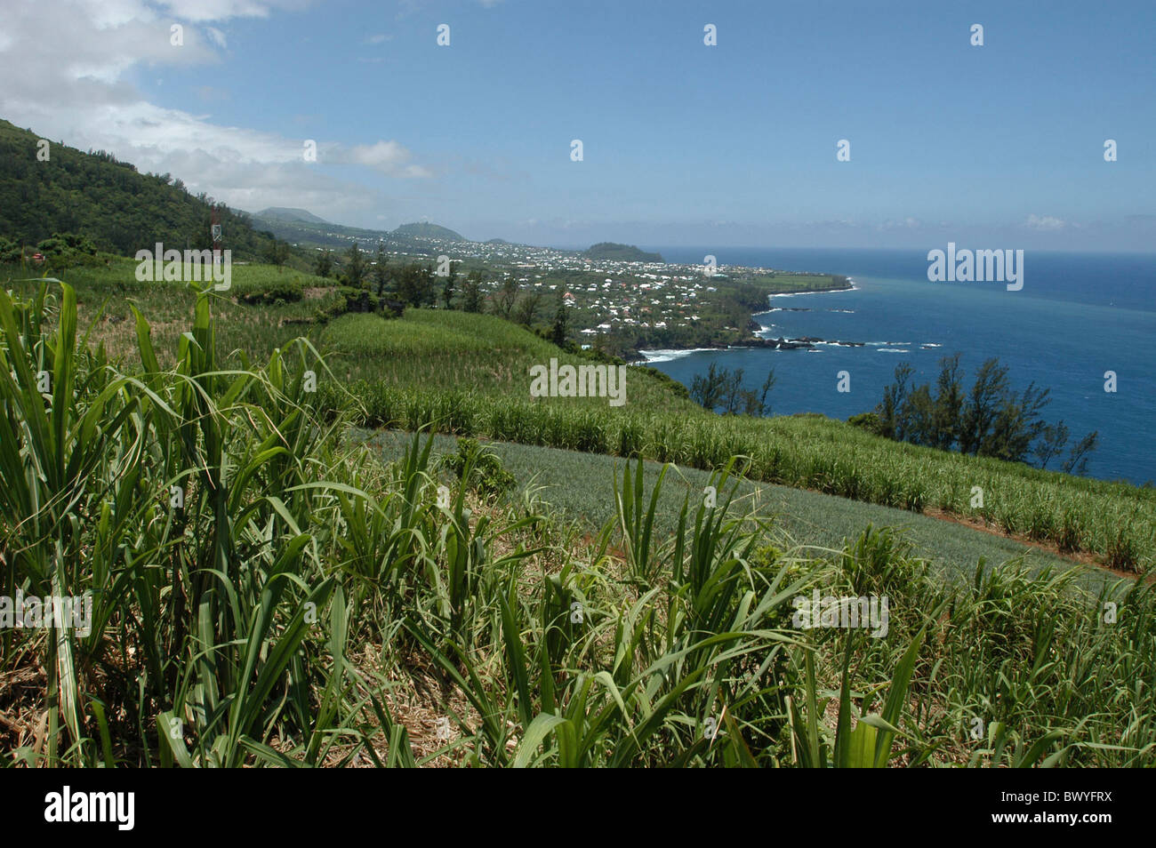 Ile de la Reunion Indian ocean coast scenery agriculture sea plantation ...