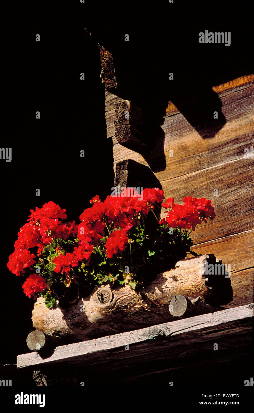 10534001 hi-res stock photography and images - Alamy