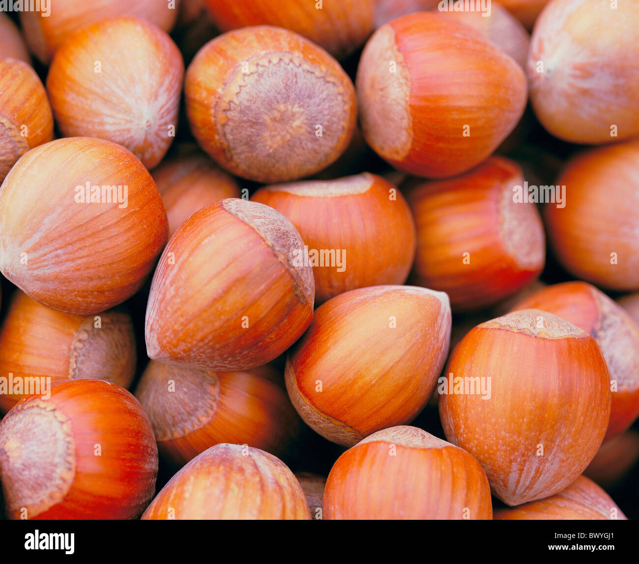 nuts hazelnuts heaps cutting part picture-filling concept close up nut ...