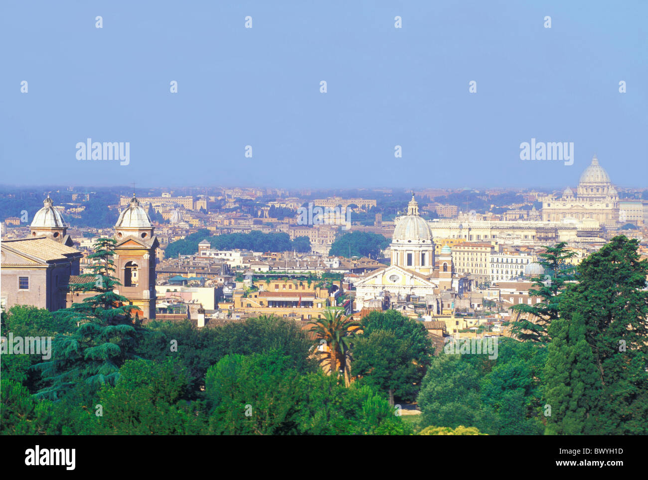 trees roofs Italy Europe domes palms Peter's cathedral Rome town city ...