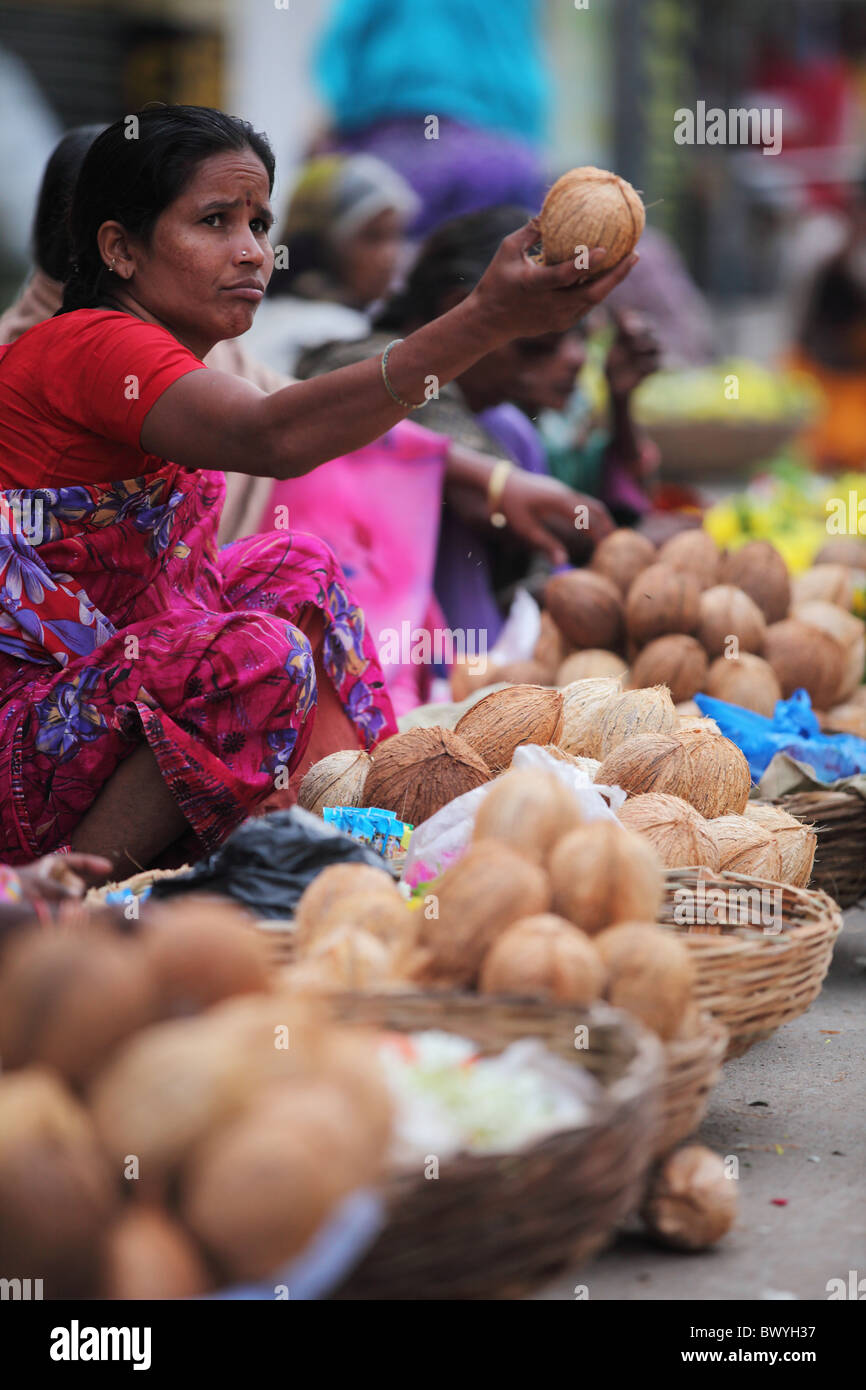 lady selling coconuts Andhra Pradesh South India Stock Photo - Alamy