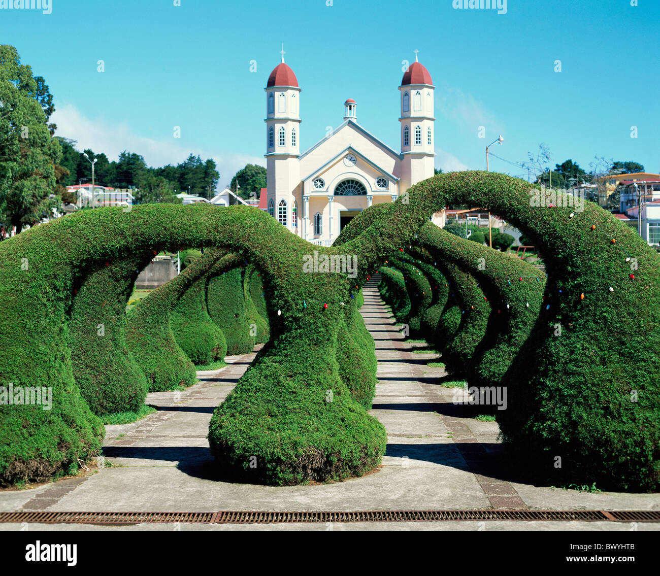 curves bushes shrubs Costa Rica Central America Central America garden ...