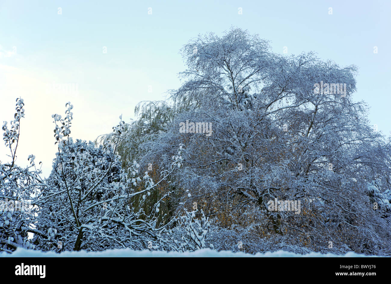 After light snowfall overnight hi-res stock photography and images - Alamy