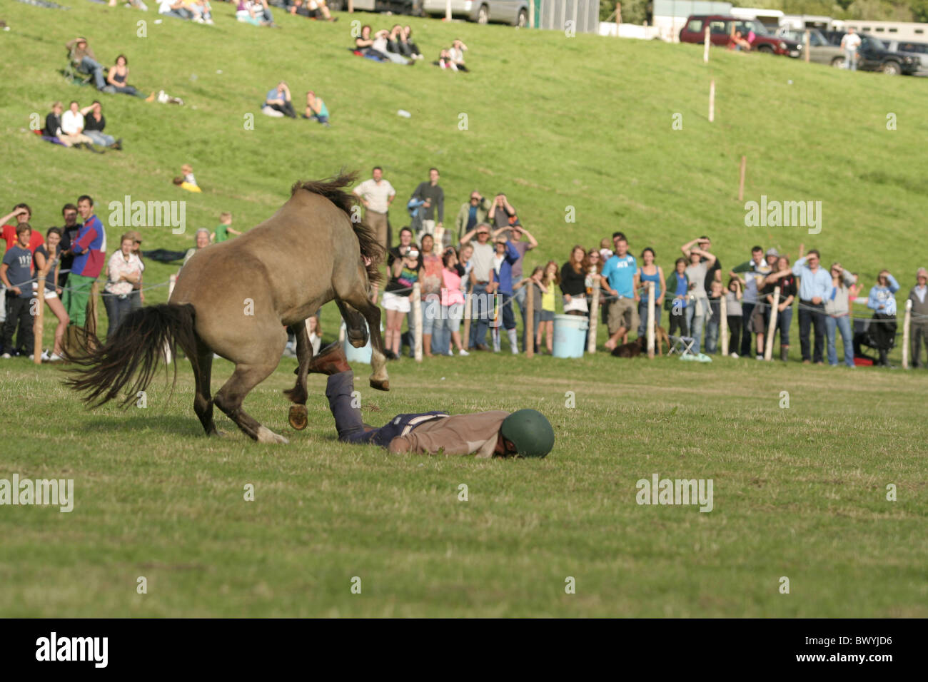 Rider falling off horse hi-res stock photography and images - Alamy