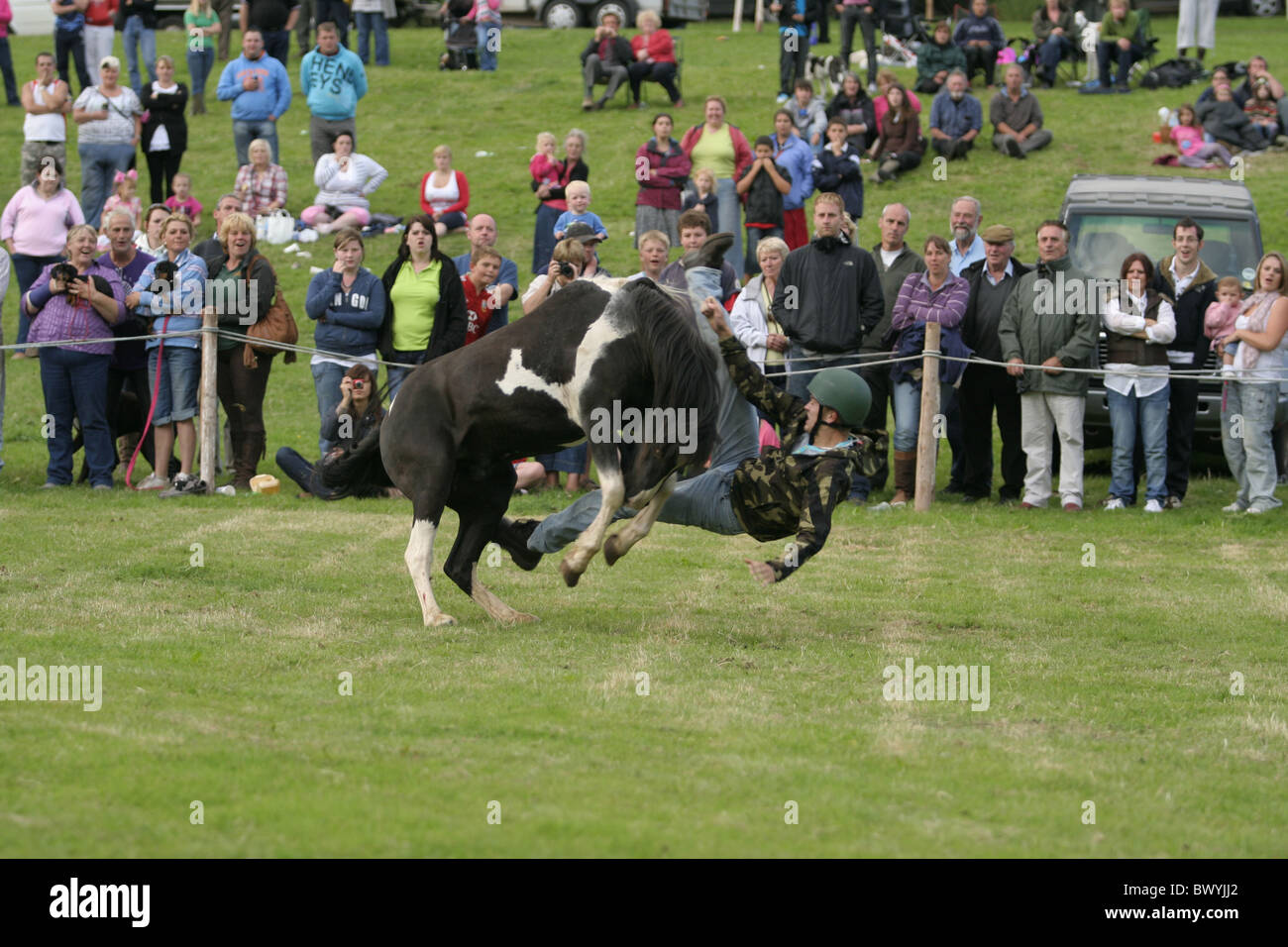Rider falling off rodeo pony, Llanthony Show, Wales 2010 Stock Photo ...