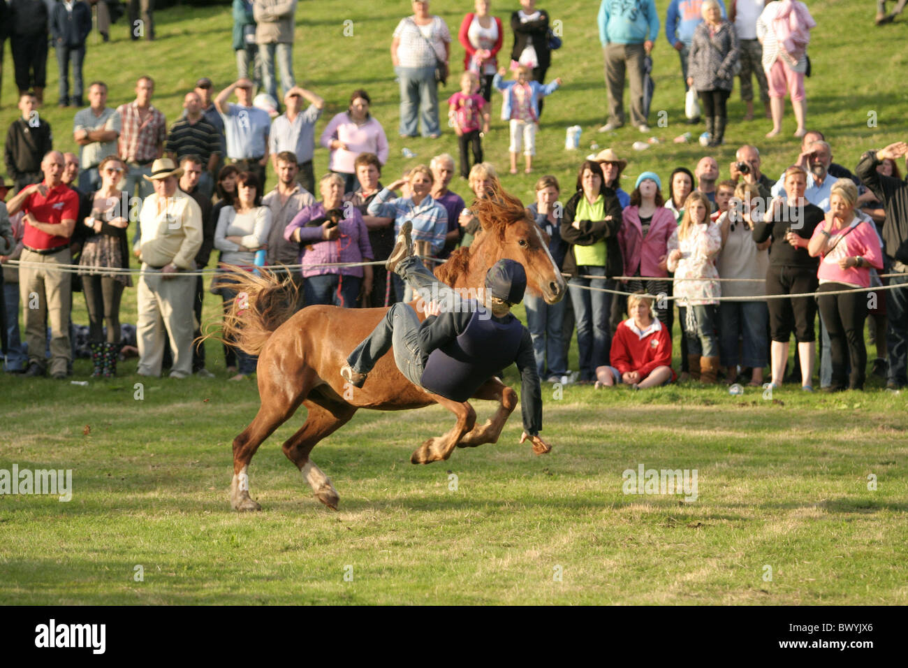 Rider falling off horse hi-res stock photography and images - Alamy