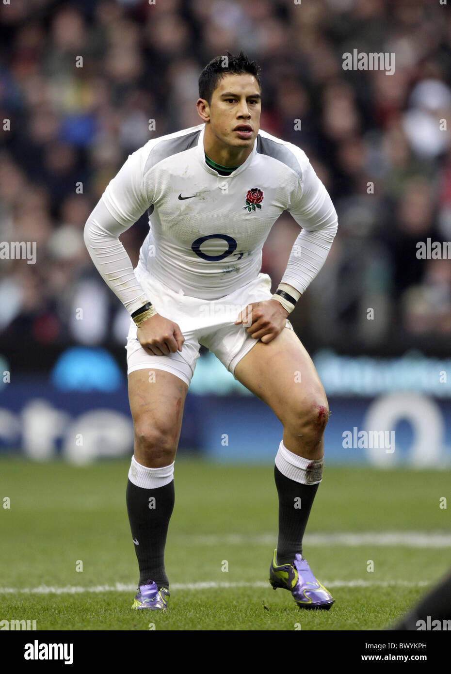 SHONTAYNE HAPE ENGLAND BATH RUFC ENGLAND & BATH RUFC TWICKENHAM ...