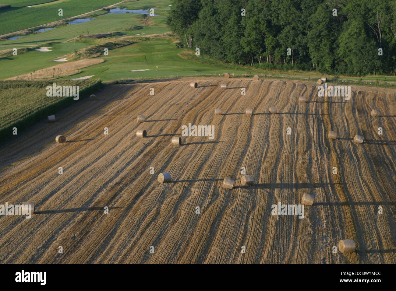 near Vuissens field fields harvest crop grain golf sport golf course ...