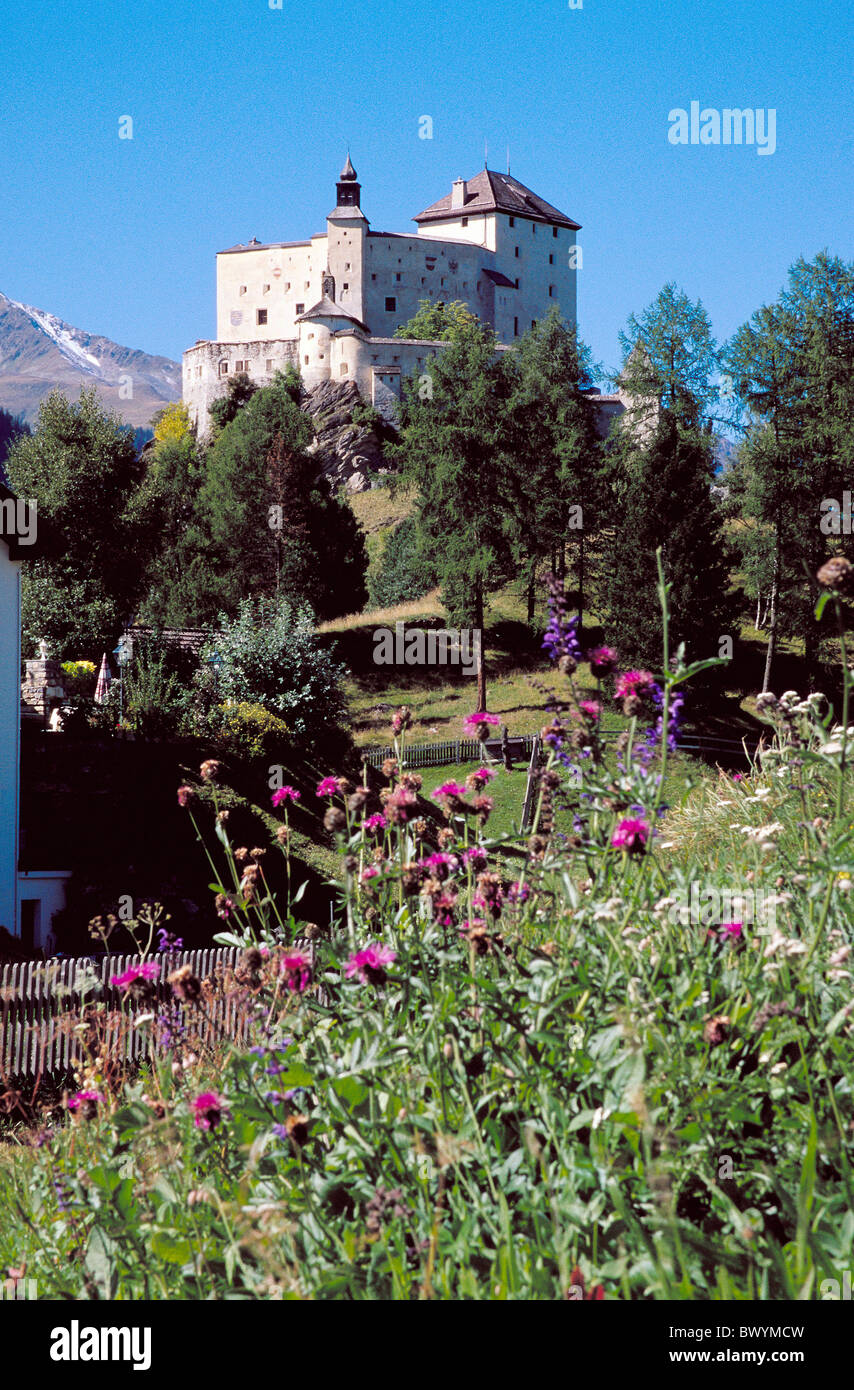 Switzerland Europe Graubunden Grisons Tarasp Schlosss trees in front ...