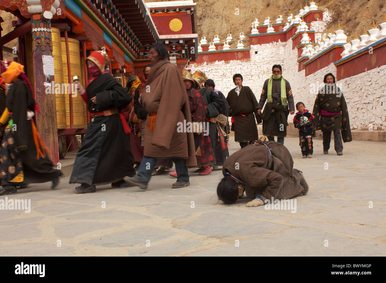 Prostrate lhasa hi-res stock photography and images - Alamy