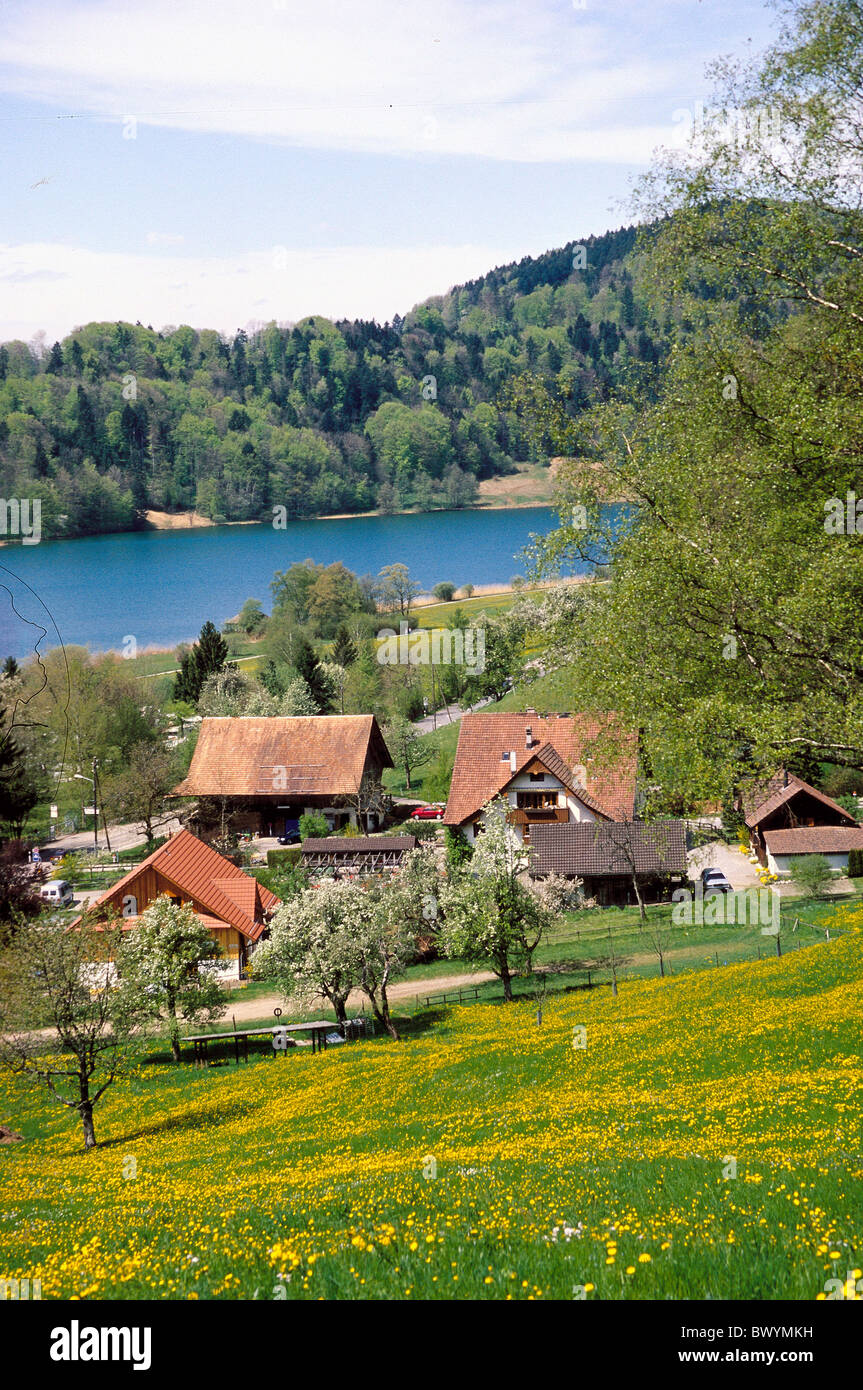 Switzerland Europe canton Zurich scenery Turlersee farm spring lake sea ...