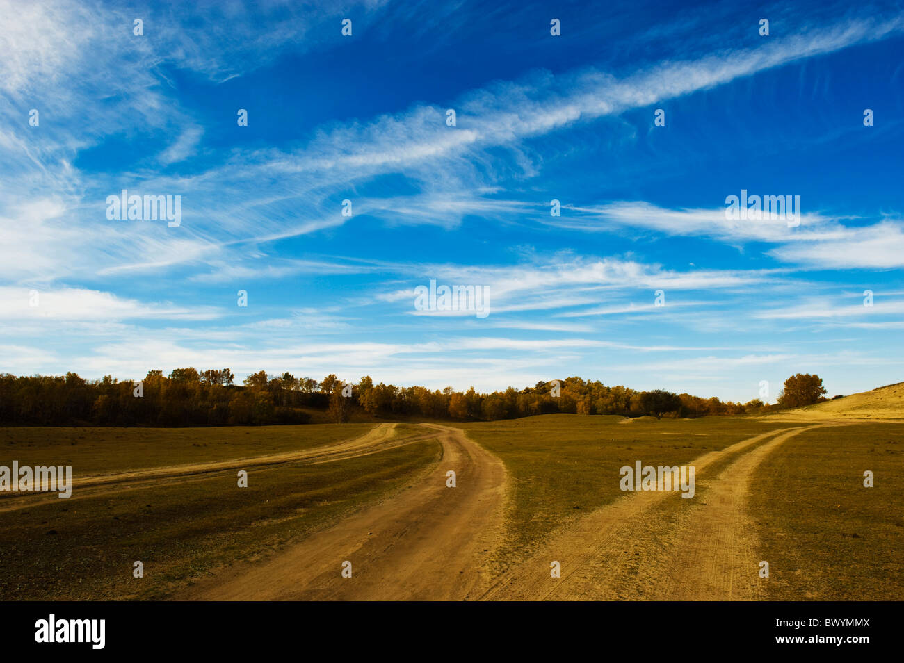 Magnificent Bashang Grassland, Zhangjiakou, Hebei Province, China Stock ...