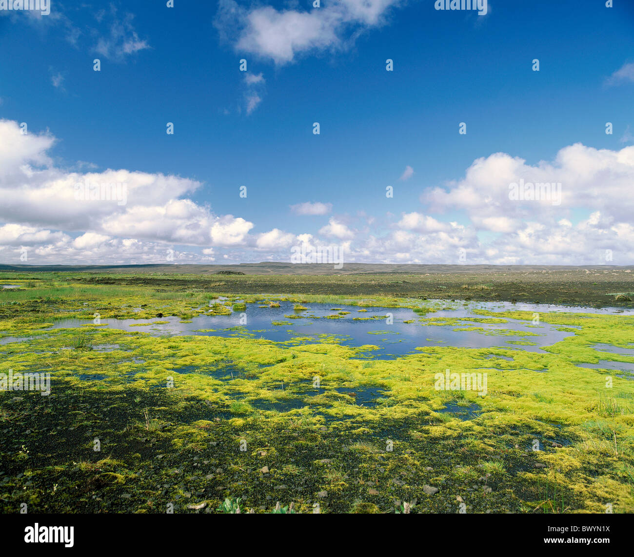 Sudisland hi-res stock photography and images - Alamy