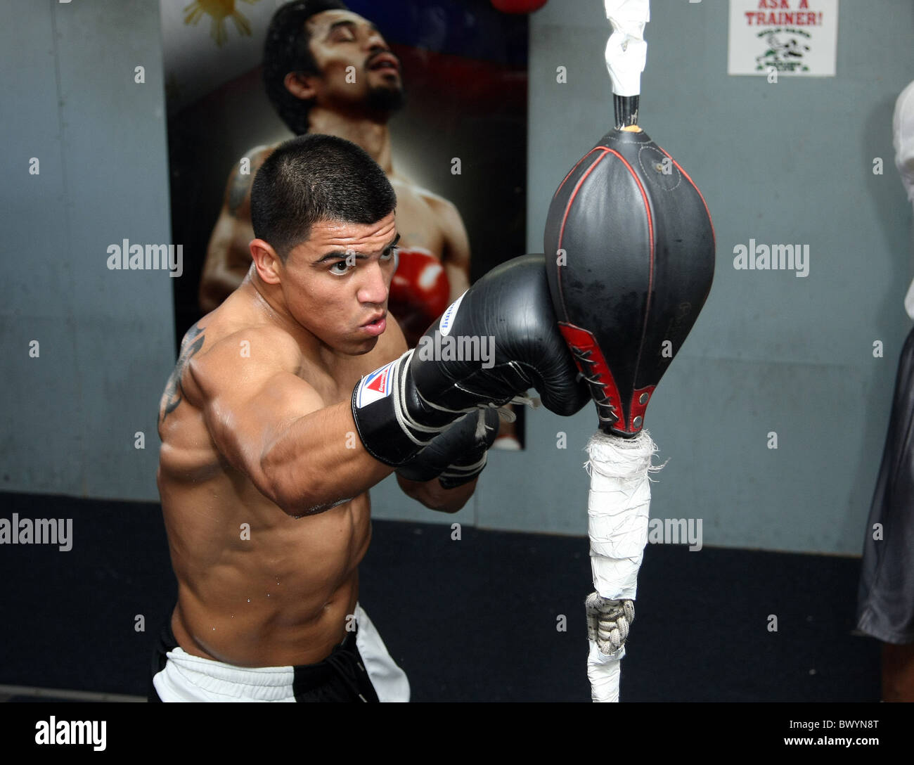VICTOR ORTIZ BOXER HOLLYWOOD LOS ANGELES CALIFORNIA USA 30 November ...
