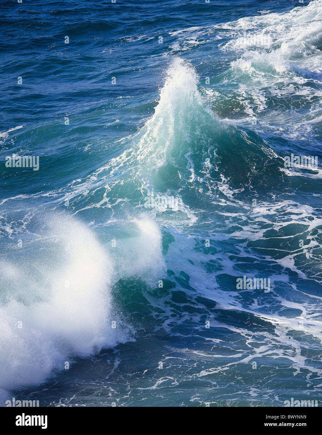 10560138 hi-res stock photography and images - Alamy