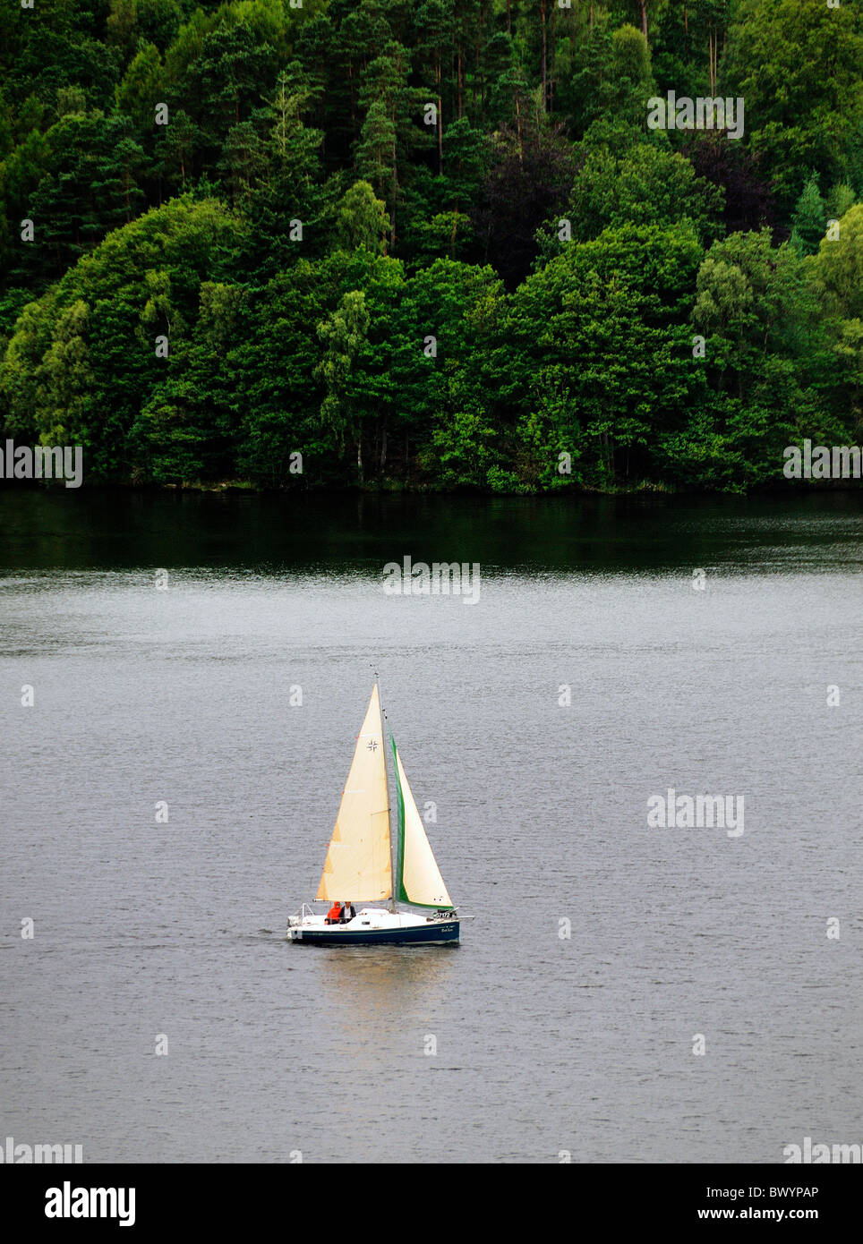 sailing on Windermere Stock Photo - Alamy