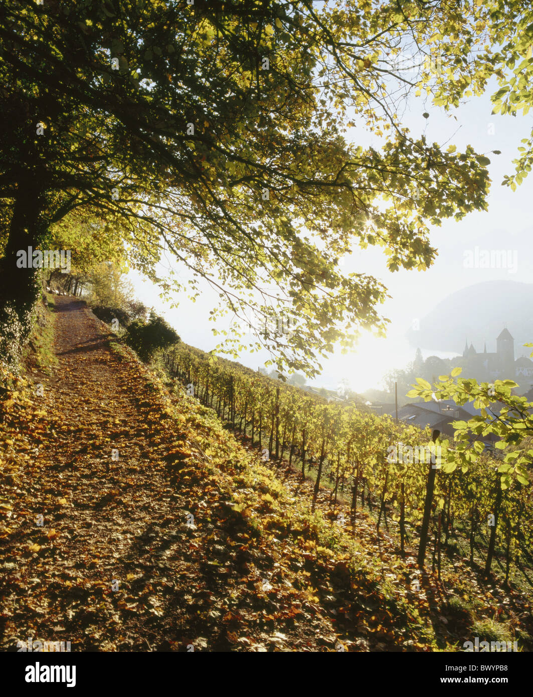 Bernese Oberland autumn canton Bern castle Spiez Switzerland Europe ...