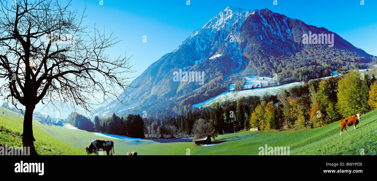 Switzerland Europe canton Bern Bernese Oberland Niesen mountain autumn ...