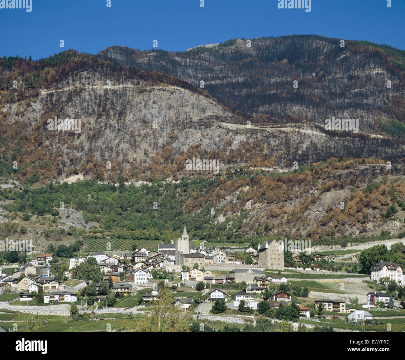 alpine Alps mountains village former forest fire canton Valais Leuk ...