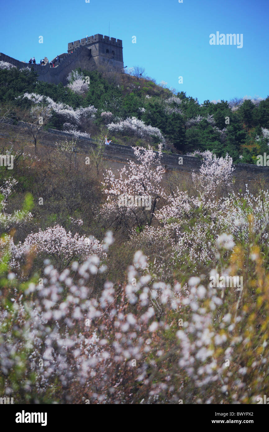 Majestic Great Wall, Badaling, Yanqing, Beijing, China Stock Photo - Alamy