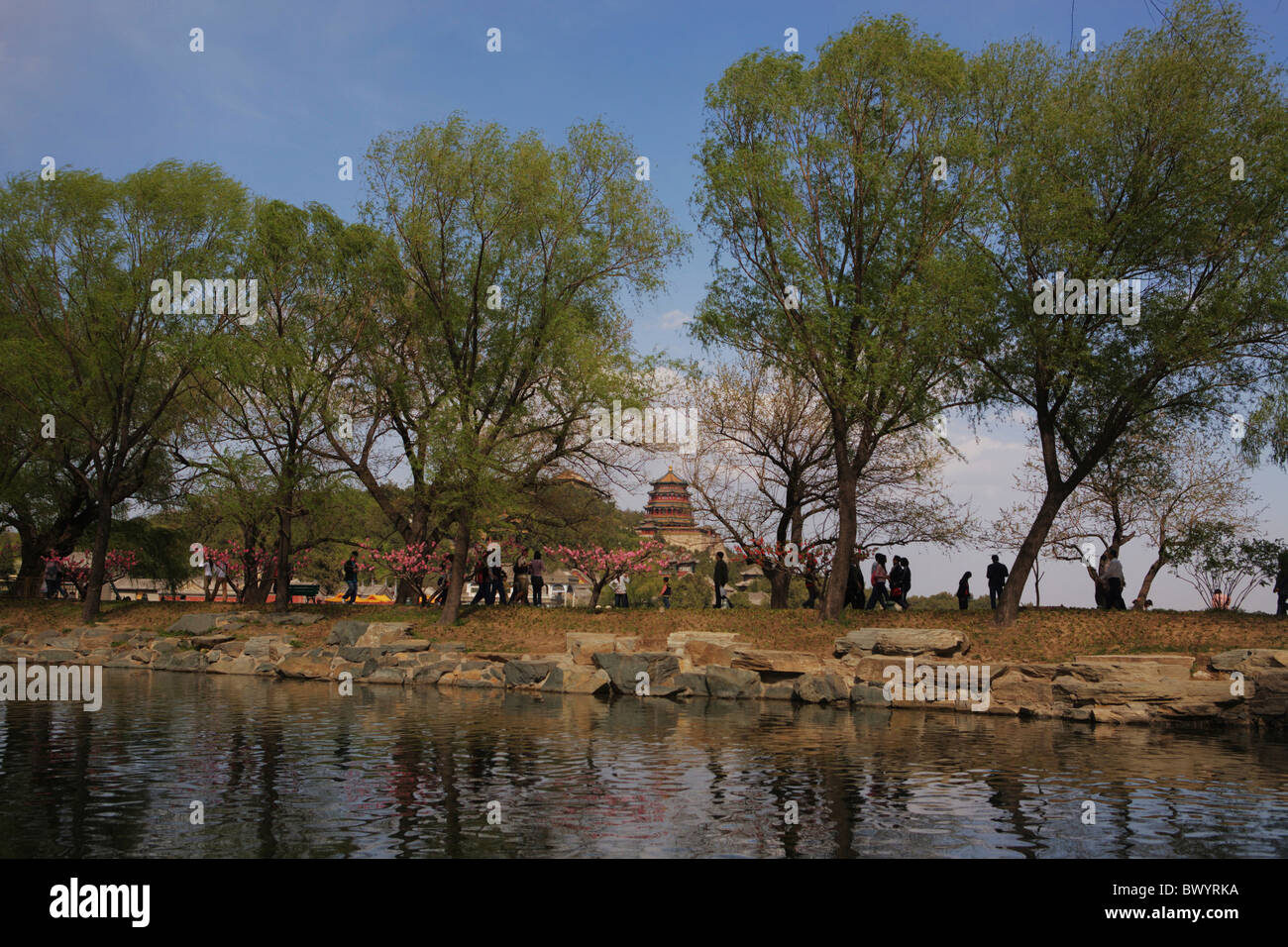 Peach blossom spring beijing hi-res stock photography and images - Alamy