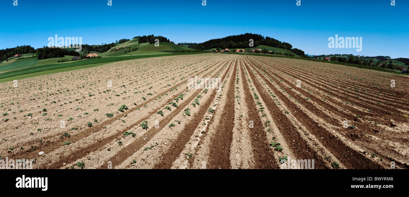 agriculture field farms canton Bern Emmental furrows hills panorama ...
