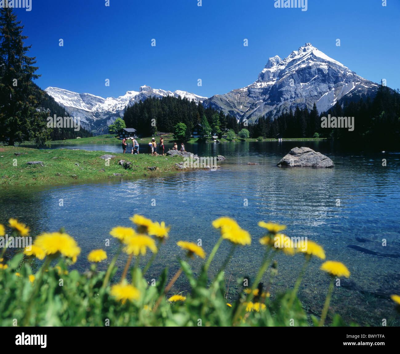 alpine Alps Arnisee bathing mountains mountain lake flowers large ...