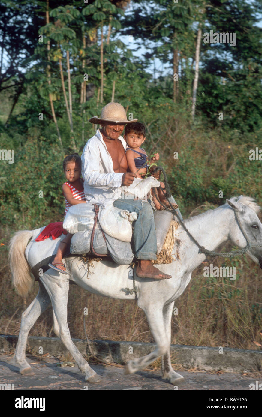 BRAZIL FATHER AND TWO CHILDREN RIDING A DONKEY IN THE NORTH EAST Stock ...