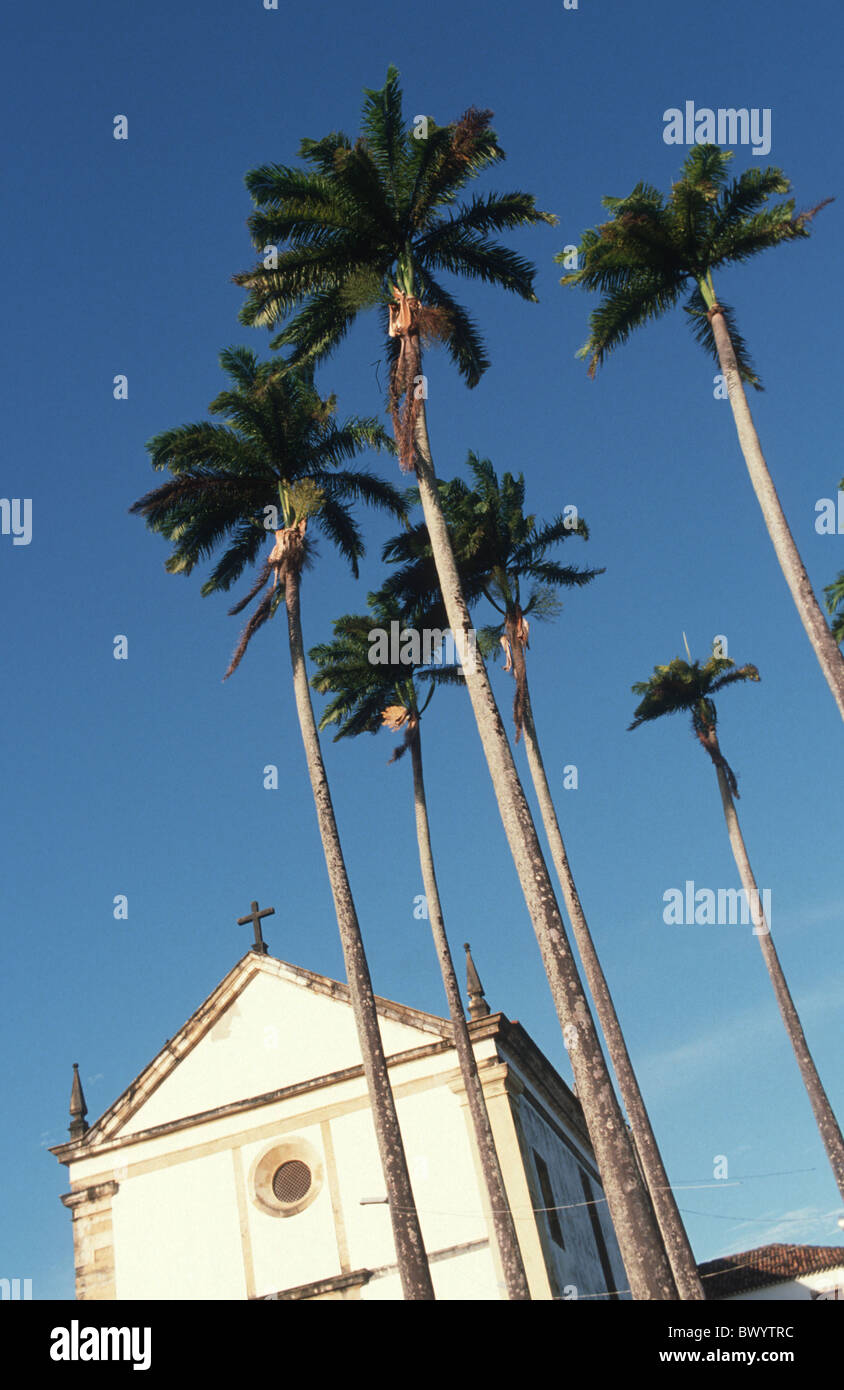 BRAZIL COLONIAL CHURCH AND PALM TREES IN OLINDA, PERNAMBUCO STATE Stock ...