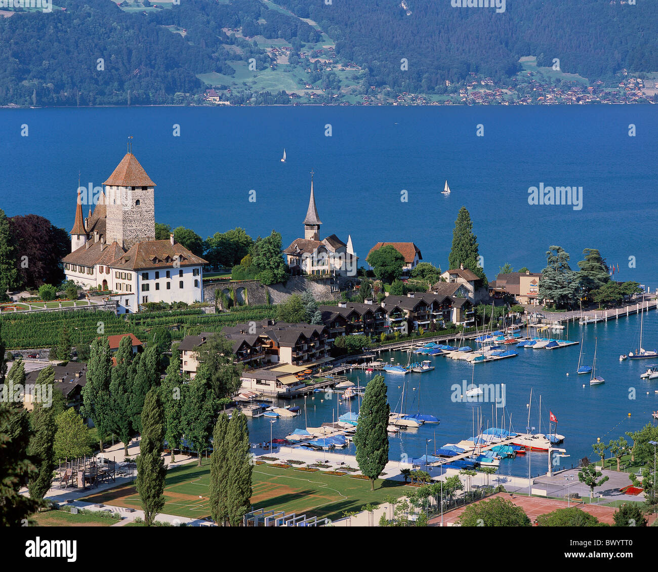 Switzerland Europe canton Bern Bernese Oberland Spiez overview lake ...