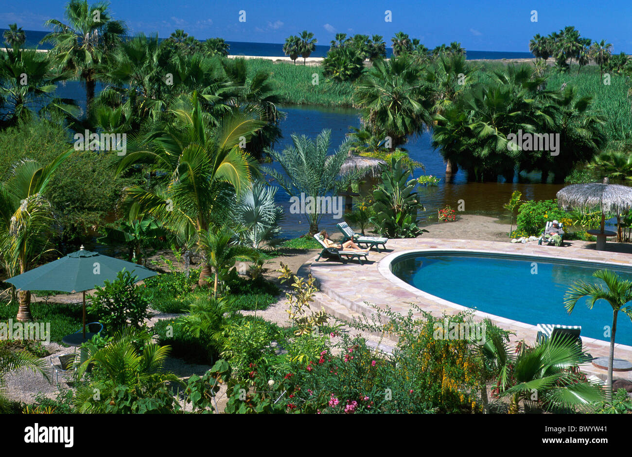 Baja California beach coast holidays hotel Mexico Central America ...