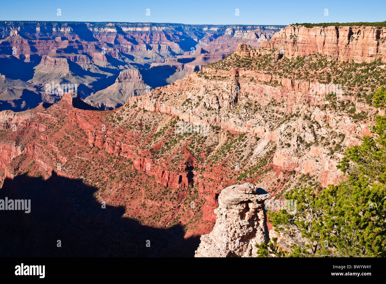The Grand Canyon from the South Rim, Grand Canyon National Park ...
