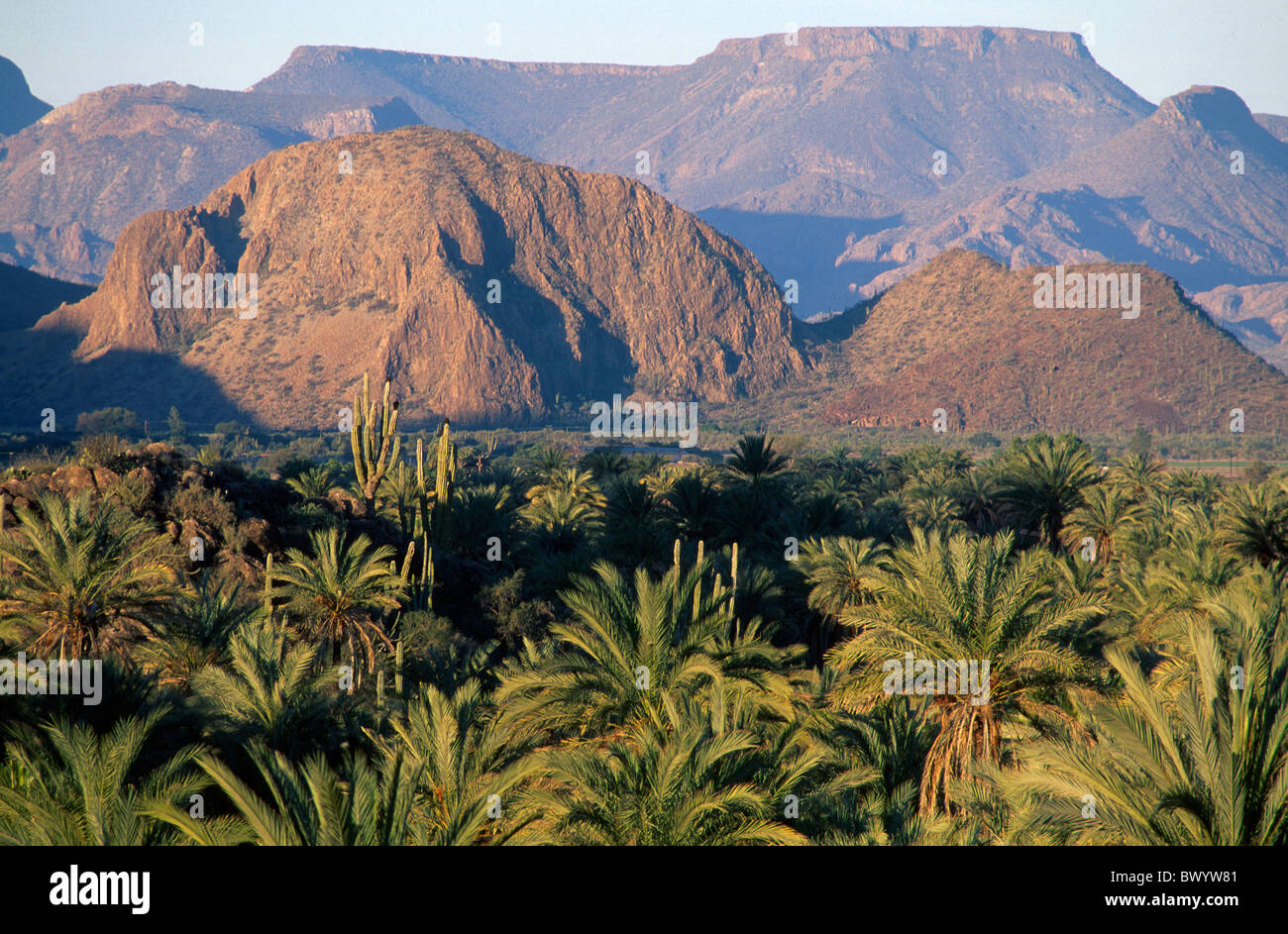 Baja California Mexico Central America America mountains Mulege nature ...