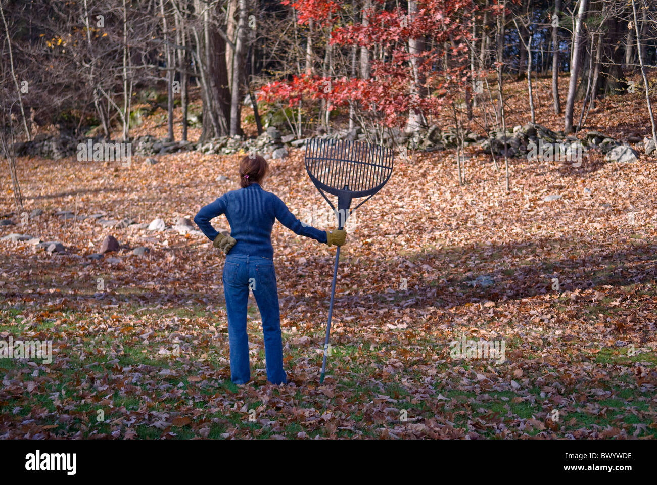 woman holding rake Stock Photo - Alamy