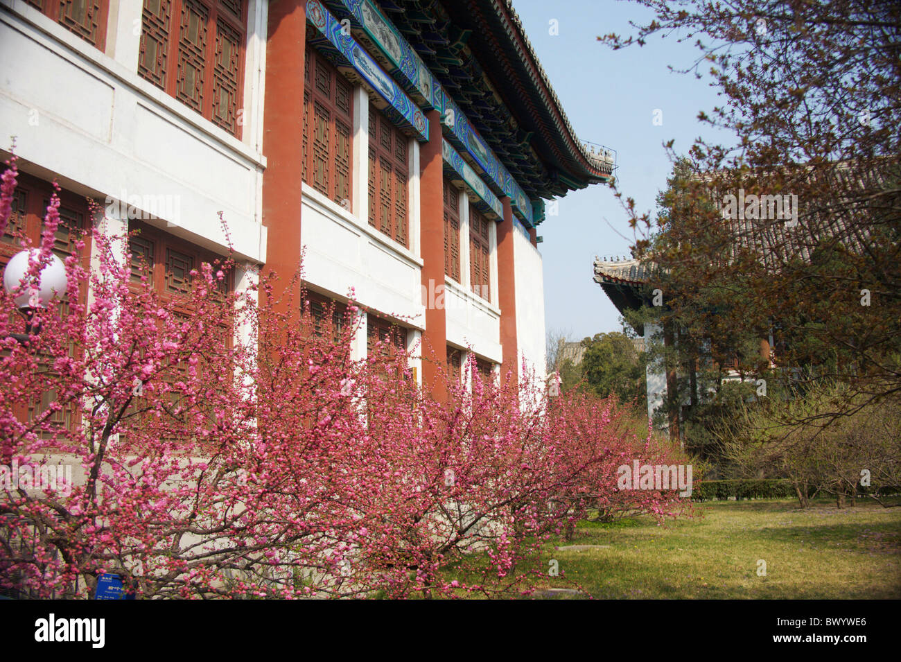 Asia university lecture hi-res stock photography and images - Alamy