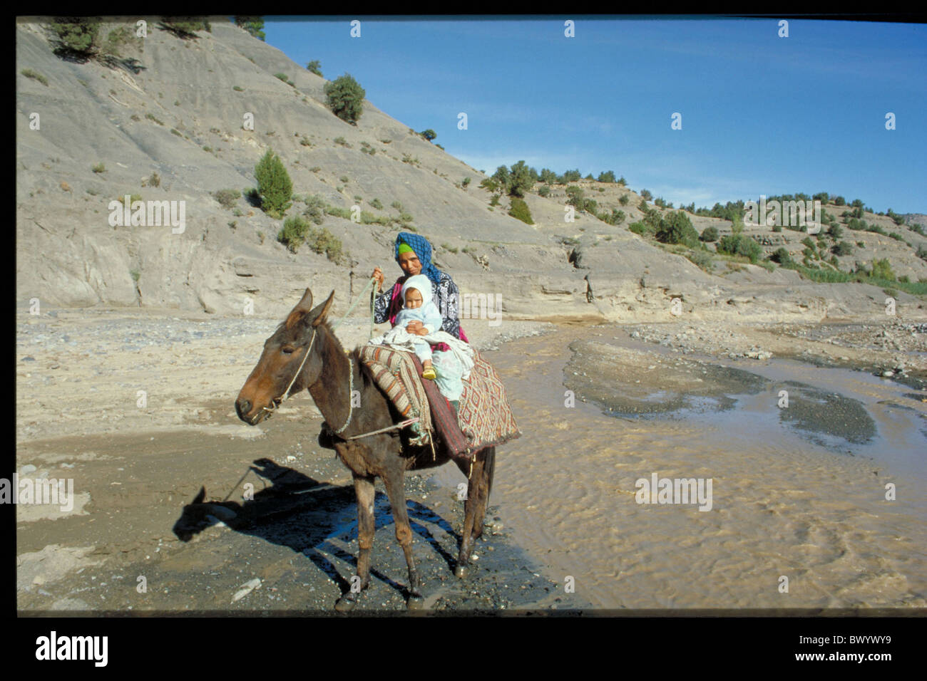Berber child East high atlas Imilchil Morocco Africa mule Muli street ...