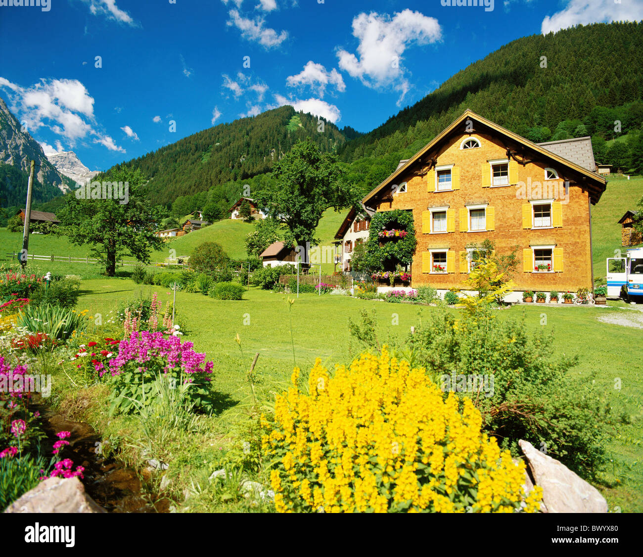 Switzerland Flowers Garden