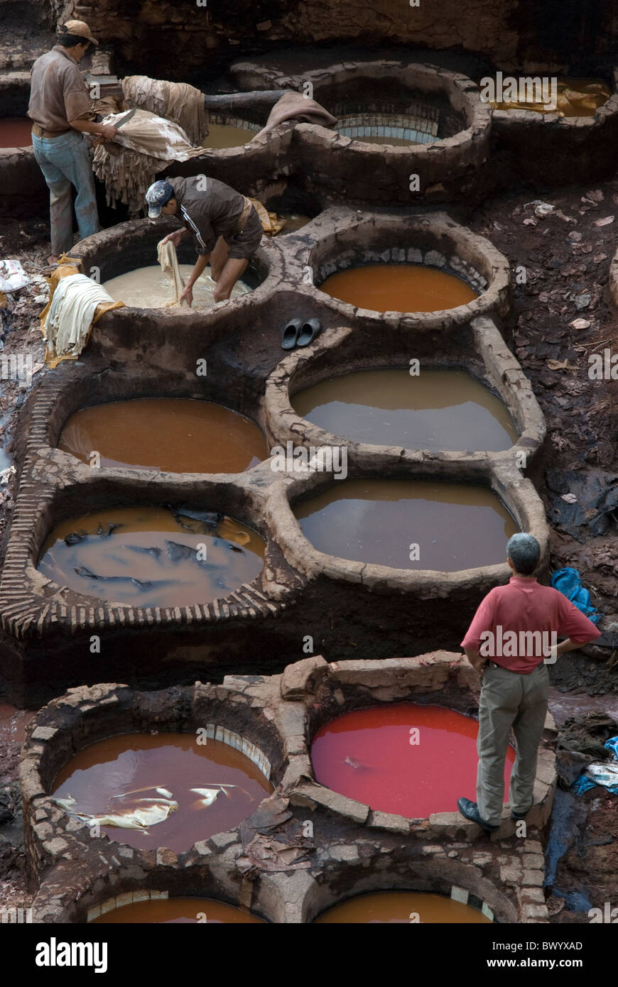 Fez tannery hides goats hi-res stock photography and images - Alamy