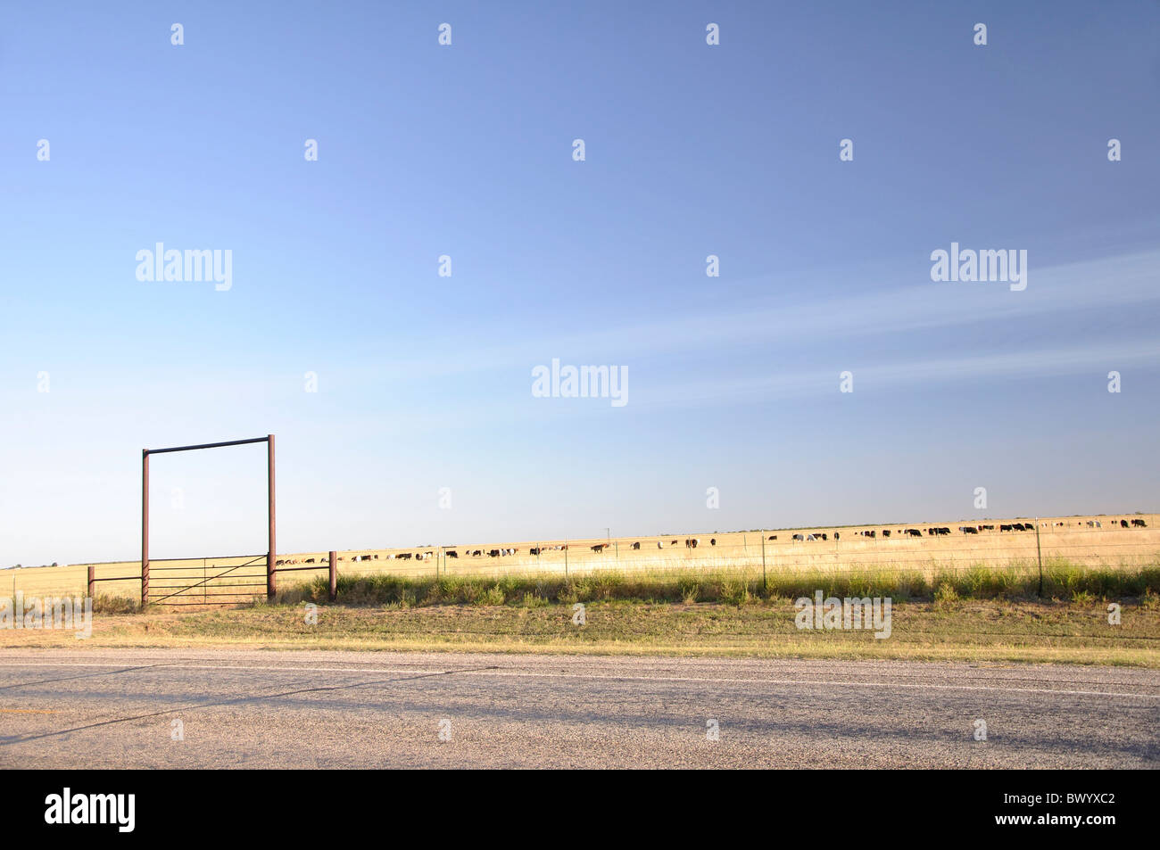 Texas gate ranch hi-res stock photography and images - Alamy