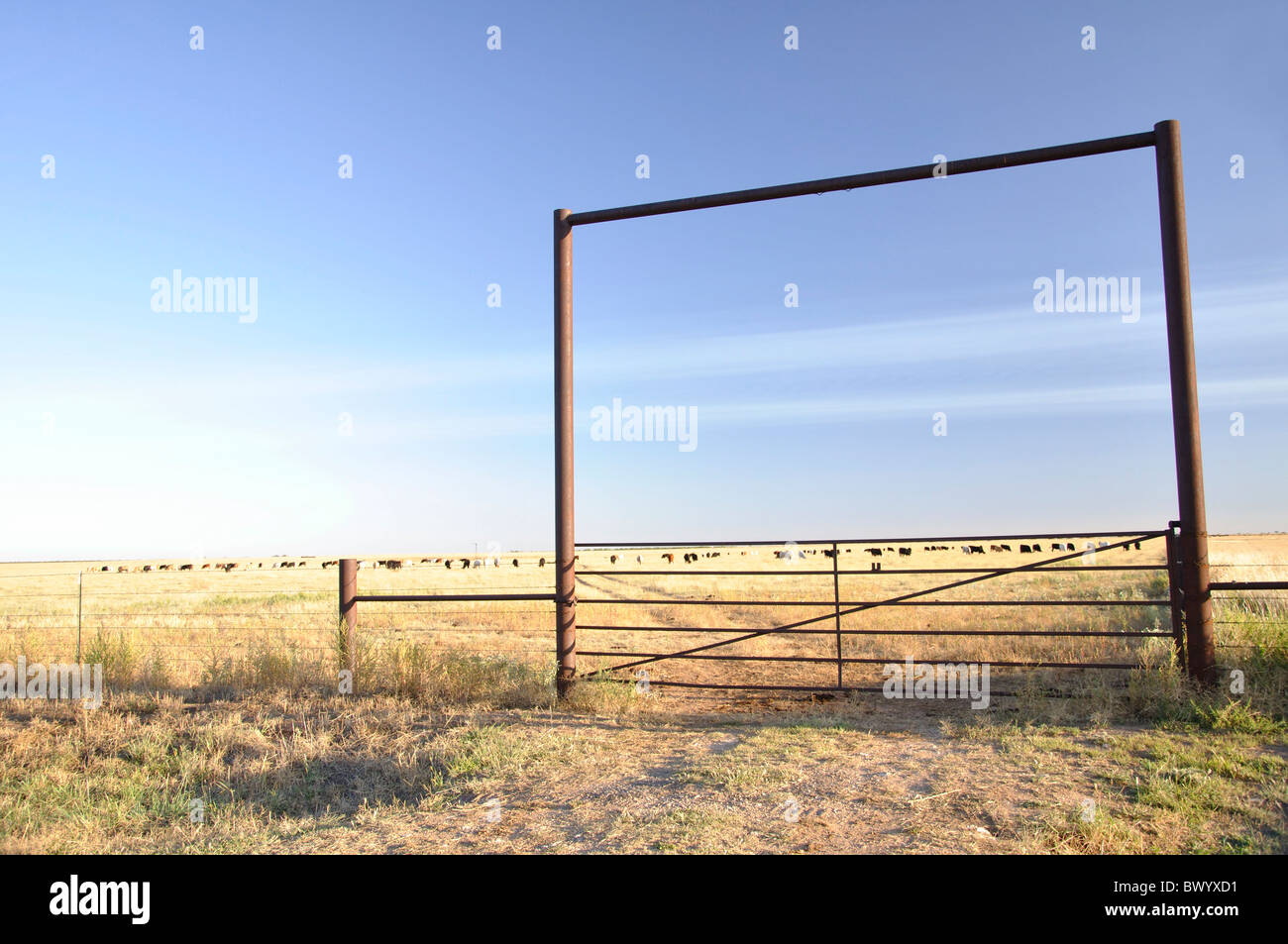 Texas gate ranch hi-res stock photography and images - Alamy
