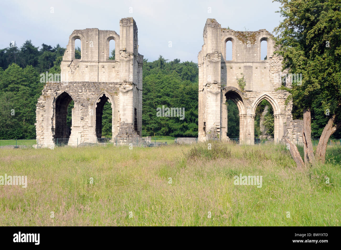 The ruins of Roche Abbey, near Maltby, Yorkshire, England Stock Photo ...