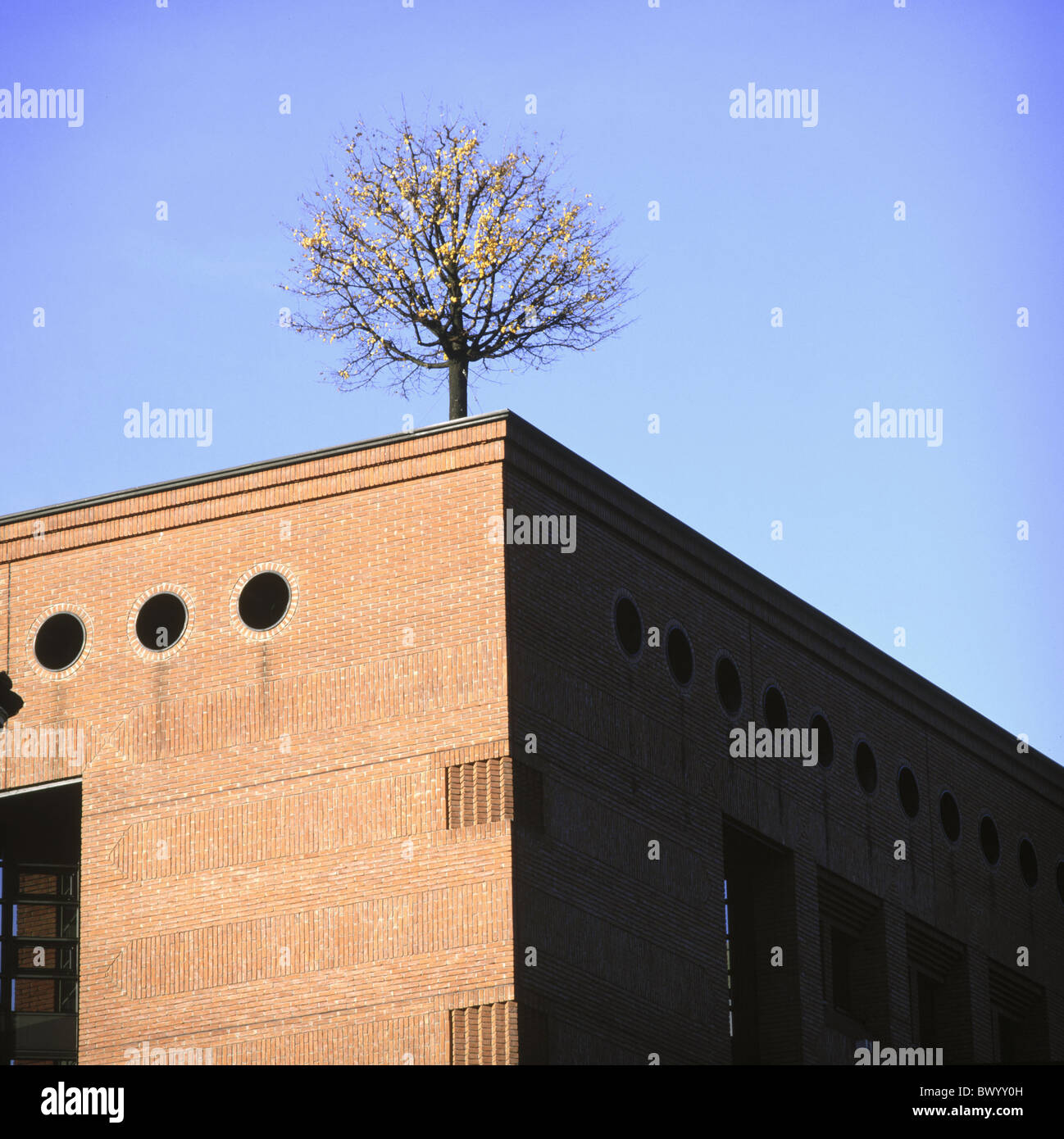 architecture Banco Gottardo tree roof detail Lugano Switzerland Europe ...