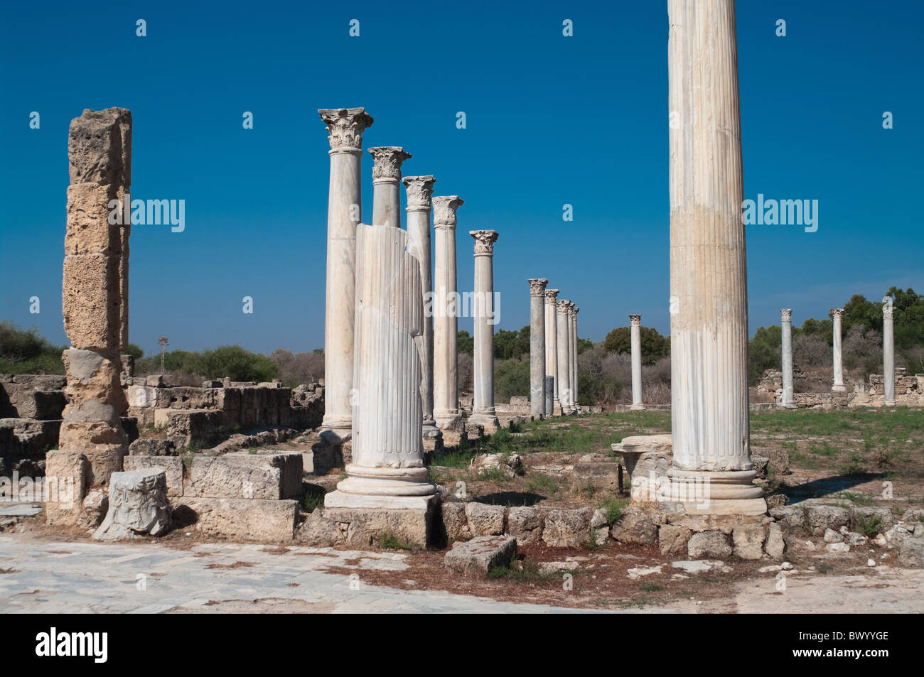 Roman ruins in Salamis ancient city in northern Cyprus Stock Photo - Alamy